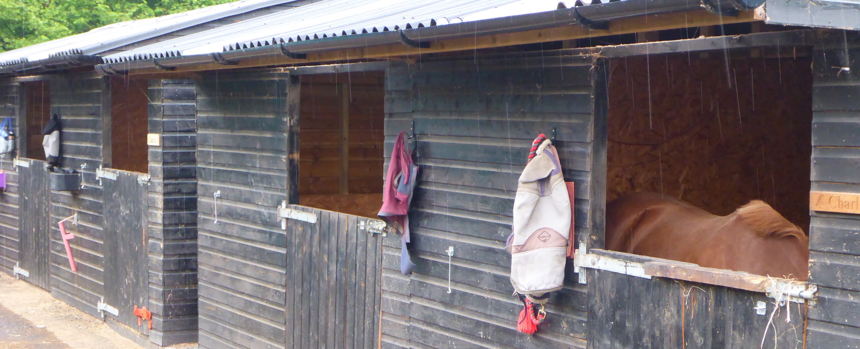 Full & Part Livery | Windlebrook Stables | 07428 811 100